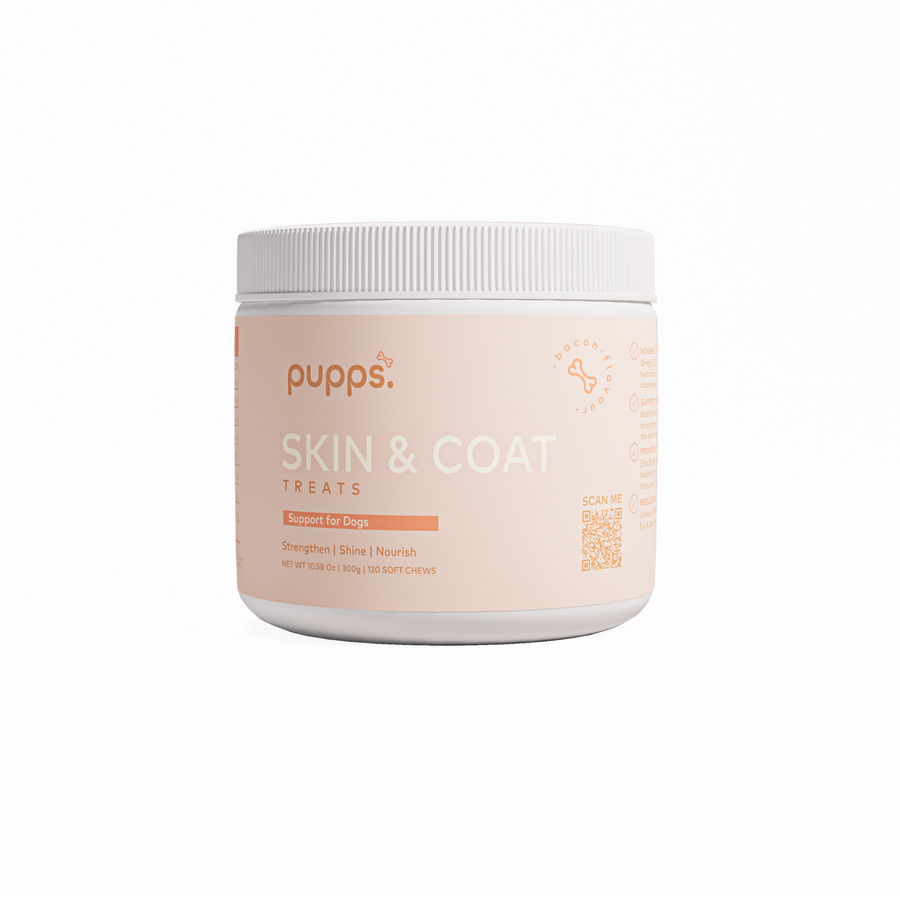 Collections – Pupps