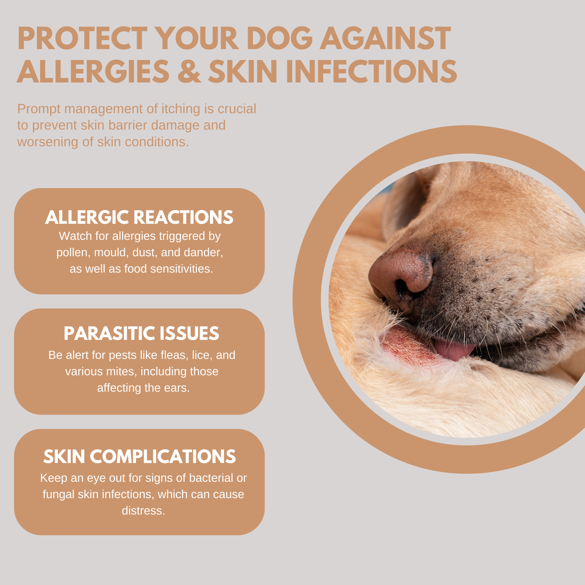 Natural Itch Relief for Dogs | Soothe Skin & Reduce Scratching | Pupps