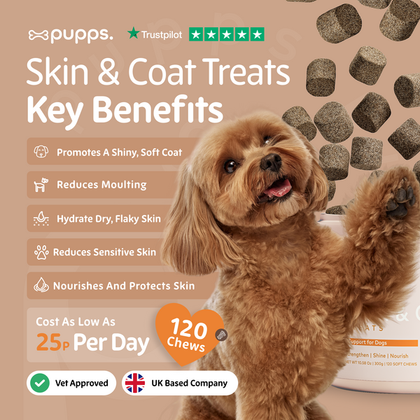 Dog Skin & Coat Treats | Vet Approved Supplement for Skin & Shiny Coat ...