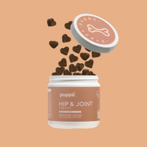 PUPPS | Shop Best Dog Treats, Multivitamin & Supplements online in UK