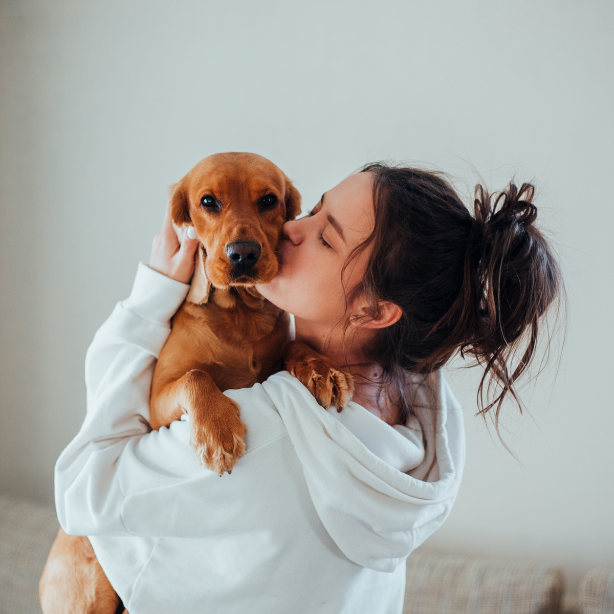 About Pupps -Our Story, Vision, & Dedication to Dog Wellness